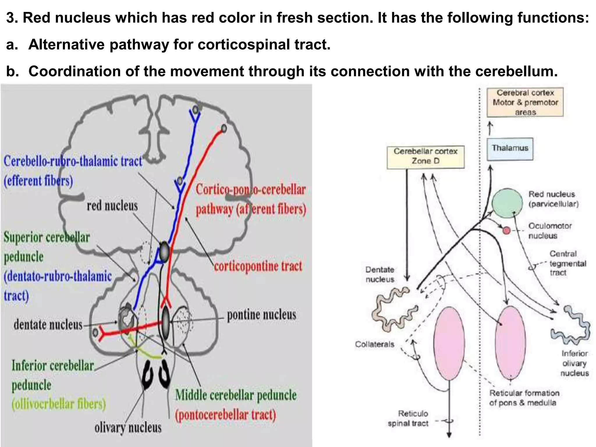 2_2021_09_24!10_51_23_PM.pptx