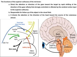 2_2021_09_24!10_51_23_PM.pptx