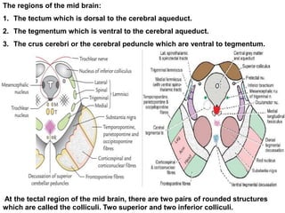 2_2021_09_24!10_51_23_PM.pptx