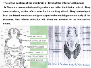 2_2021_09_24!10_51_23_PM.pptx
