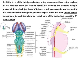 2_2021_09_24!10_51_23_PM.pptx | Free Download