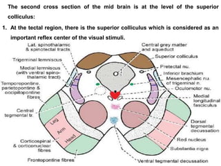 2_2021_09_24!10_51_23_PM.pptx