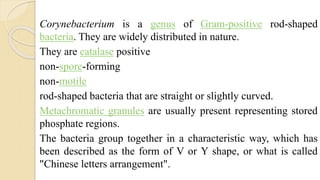 2_2022_03_16!05_22_11_PM.ppt