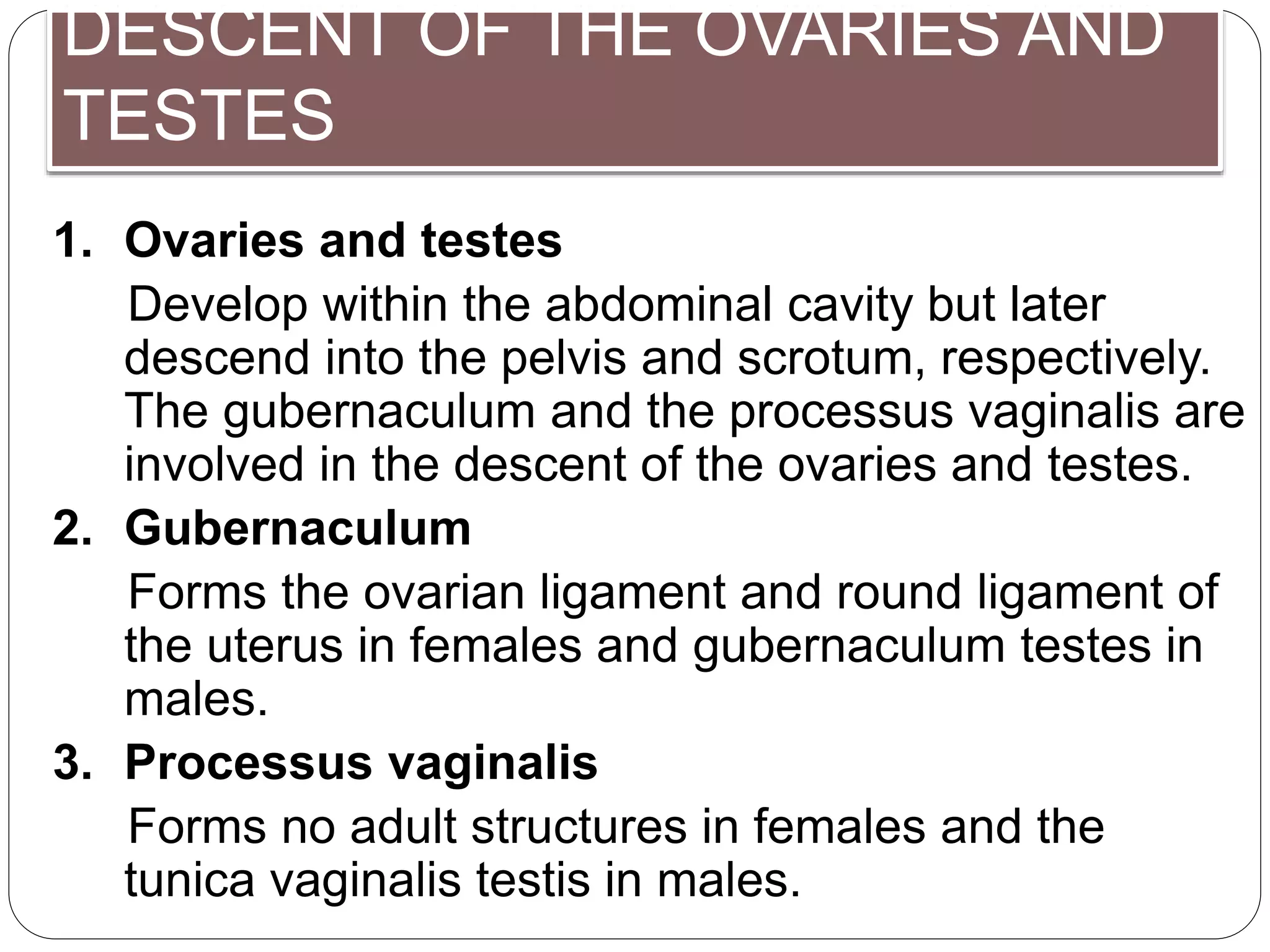 Development Of The Reproductive Systempptx
