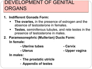 Development of the reproductive system.pptx