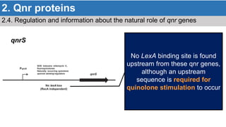 Qnr gene; a member of Plasmid Mediate Quinolones Resistance | PPTX