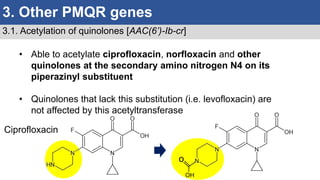 Qnr gene; a member of Plasmid Mediate Quinolones Resistance | PPTX