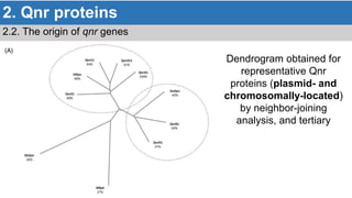 Qnr gene; a member of Plasmid Mediate Quinolones Resistance | PPTX