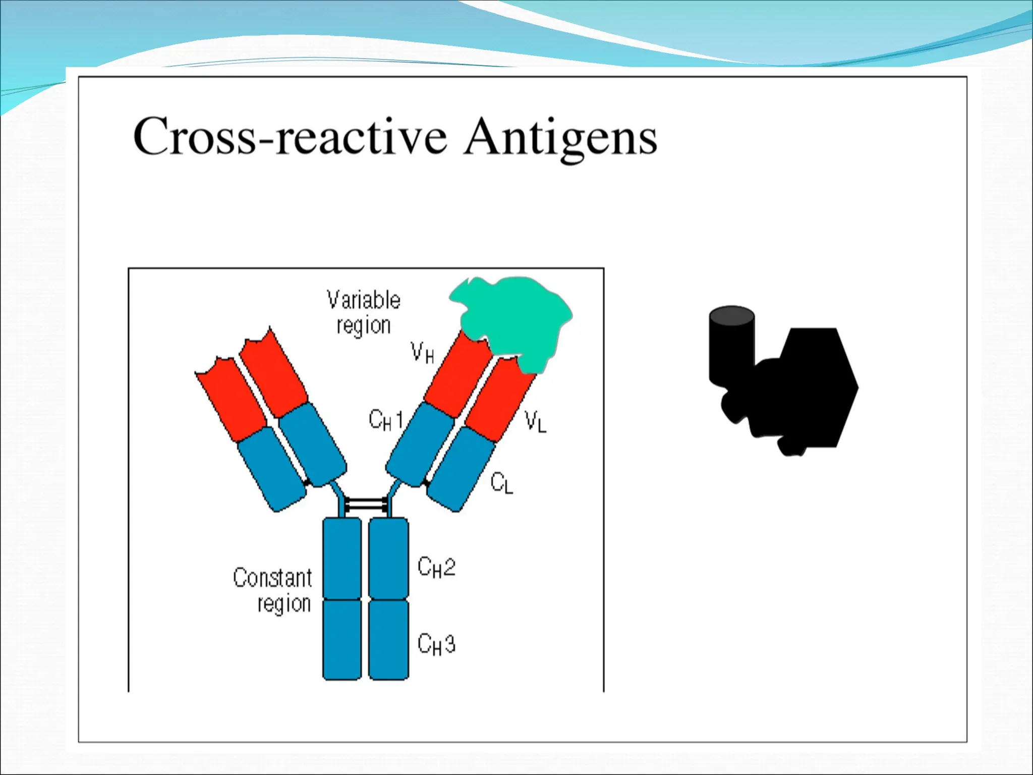 Antigen and Antibody reaction (appliction in immmunological method) | PPT