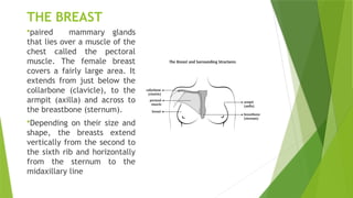 220292127-Anatomy-and-Physiology-of-the-Breast.pptx