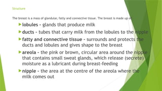 220292127-Anatomy-and-Physiology-of-the-Breast.pptx