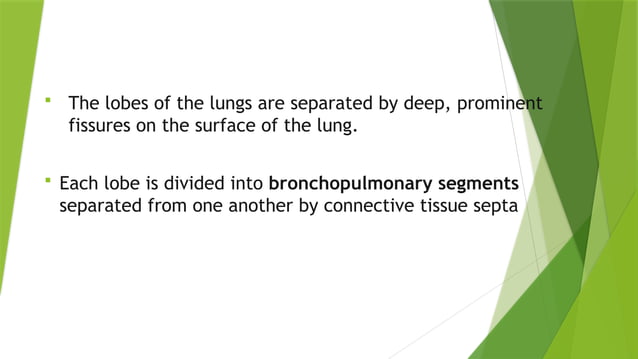 220292127-Anatomy-and-Physiology-of-the-Breast.pptx