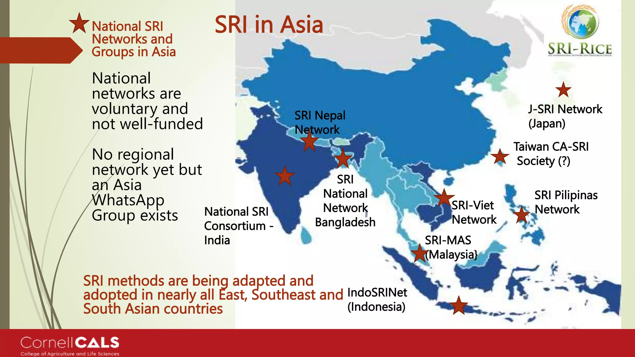 2203 - Overview of System of Rice Intensification SRI Around the World ...