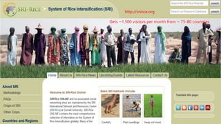 2203 - Overview of System of Rice Intensification SRI Around the World ...