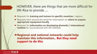 2203 - Overview of System of Rice Intensification SRI Around the World ...