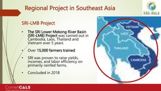 2203 - Overview of System of Rice Intensification SRI Around the World ...