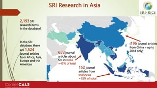 2203 - Overview of System of Rice Intensification SRI Around the World ...
