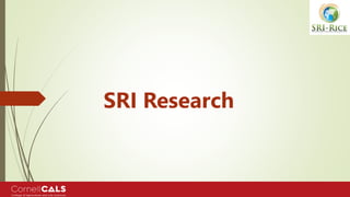 2203 - Overview of System of Rice Intensification SRI Around the World ...