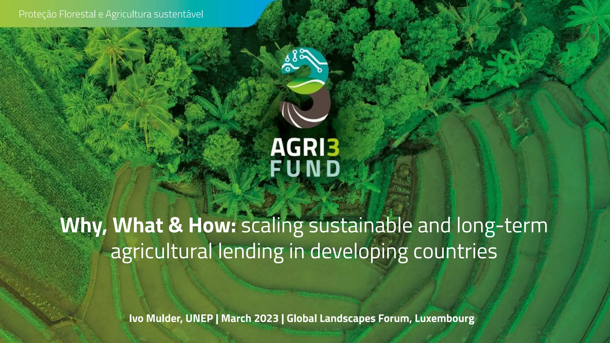 Why, What & How: scaling sustainable and long-term agricultural lending ...
