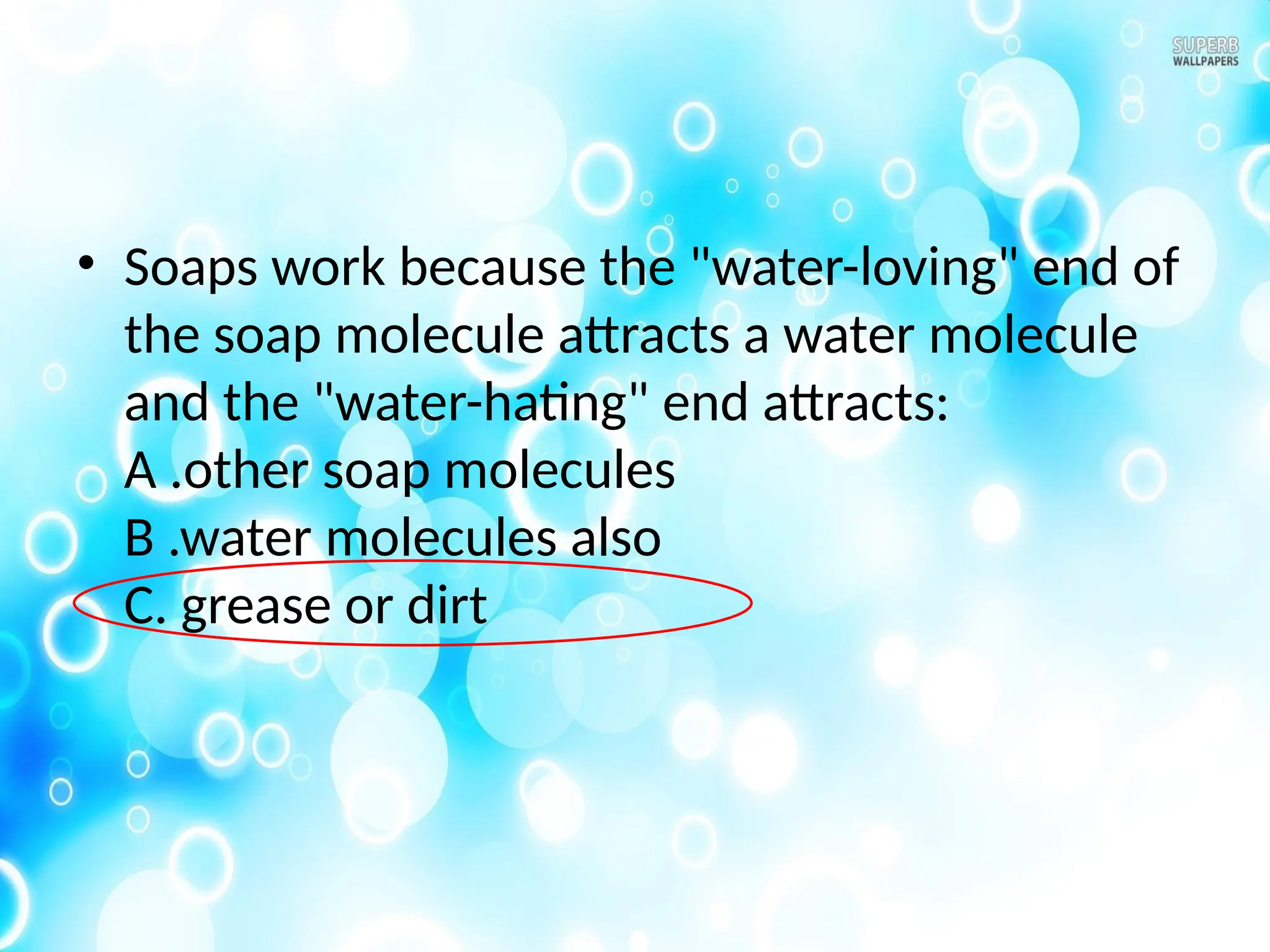 2222222222222220380182-Detergent-PPT-FWM.pptx