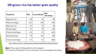 2204 -System of Rice Intensification - Improving Rice Production and ...