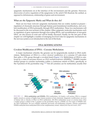 Epigenetic Regulation In The Nervous System Basic Mechanisms And ...