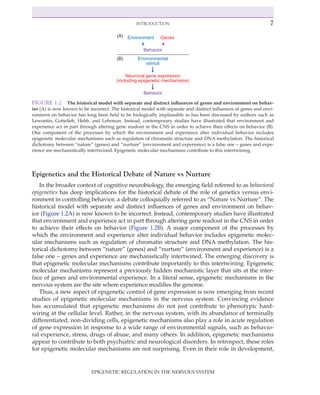 Epigenetic Regulation In The Nervous System Basic Mechanisms And ...