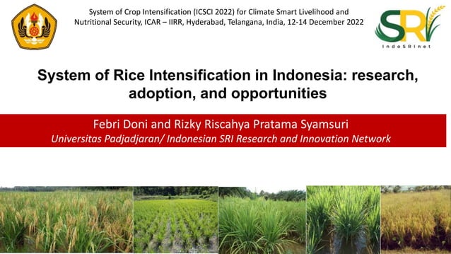 2205 - System of Rice Intensification in Indonesia - Research, Adoption ...