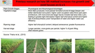 2205 - System of Rice Intensification in Indonesia - Research, Adoption ...