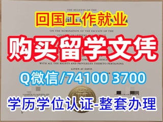 UNC Bachelor Degree | PDF