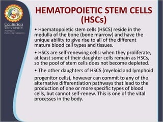 220705180035-Hematopoesis.pptx