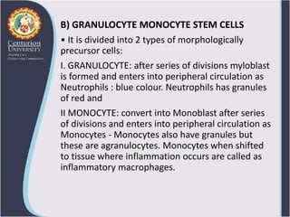 220705180035-Hematopoesis.pptx
