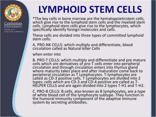 220705180035-Hematopoesis.pptx