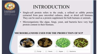220705180035SINGLE-CELL PROTEIN .pptx