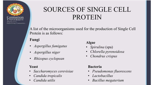 220705180035SINGLE-CELL PROTEIN .pptx