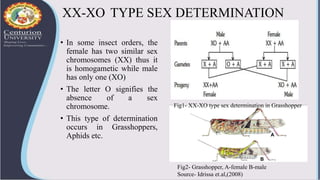 220705180038 genetics and epigenetics.pptx