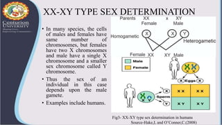 220705180038 genetics and epigenetics.pptx