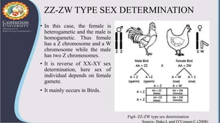 220705180038 genetics and epigenetics.pptx