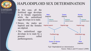 220705180038 genetics and epigenetics.pptx