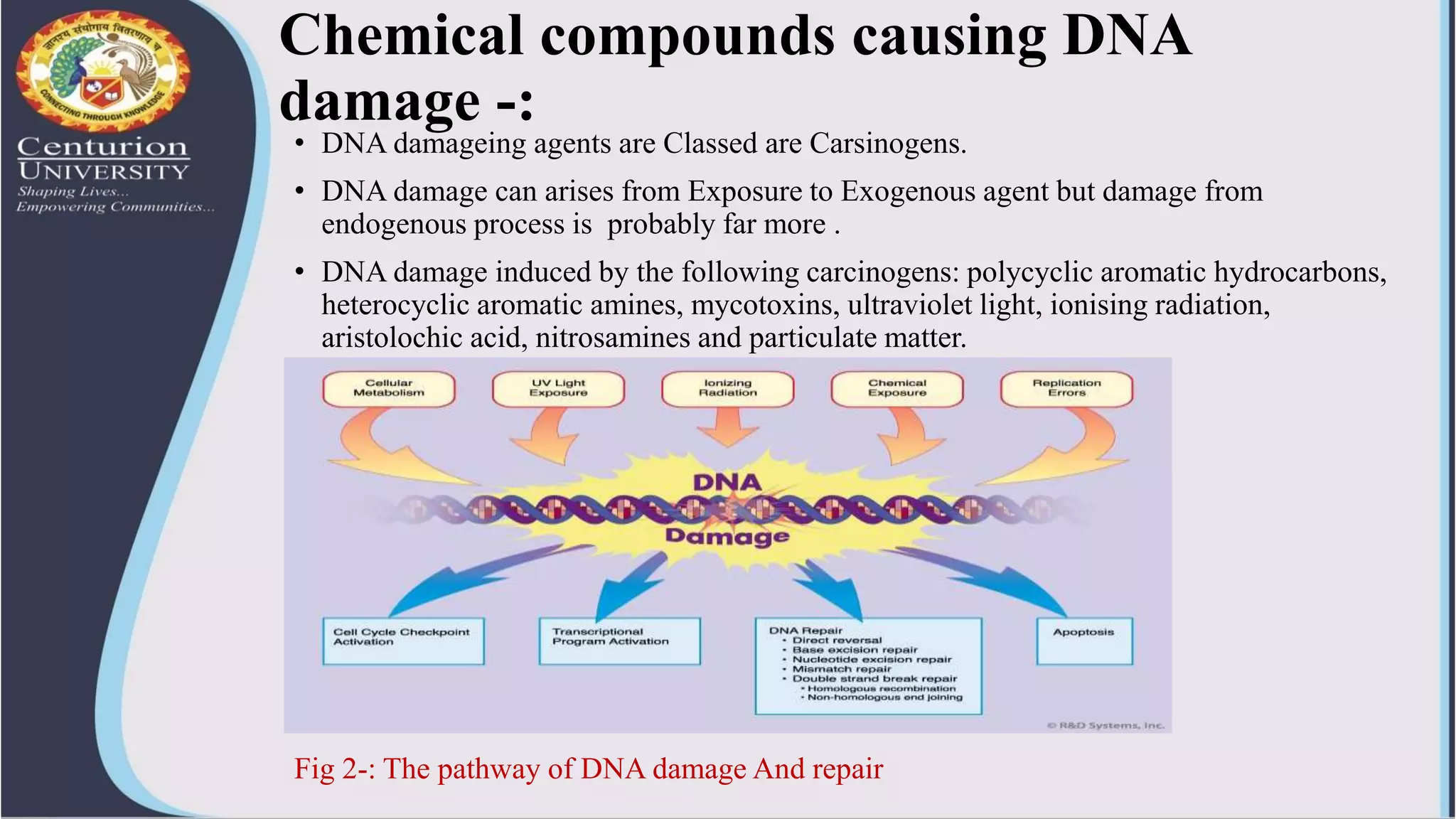 220705180044 (Genetics and epigenetics).pptx