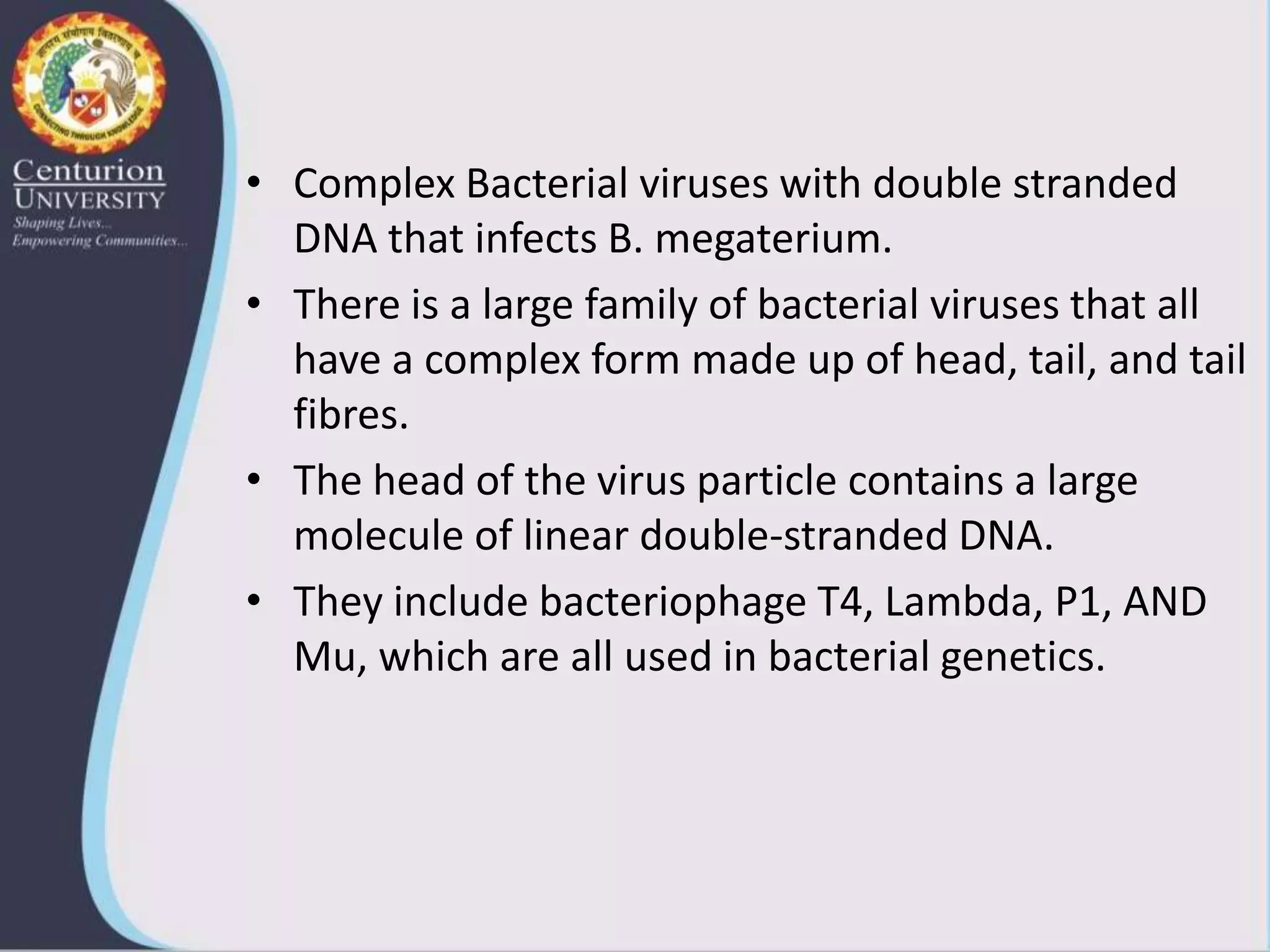 220705180049 Genetic diversity of viruses.pptx