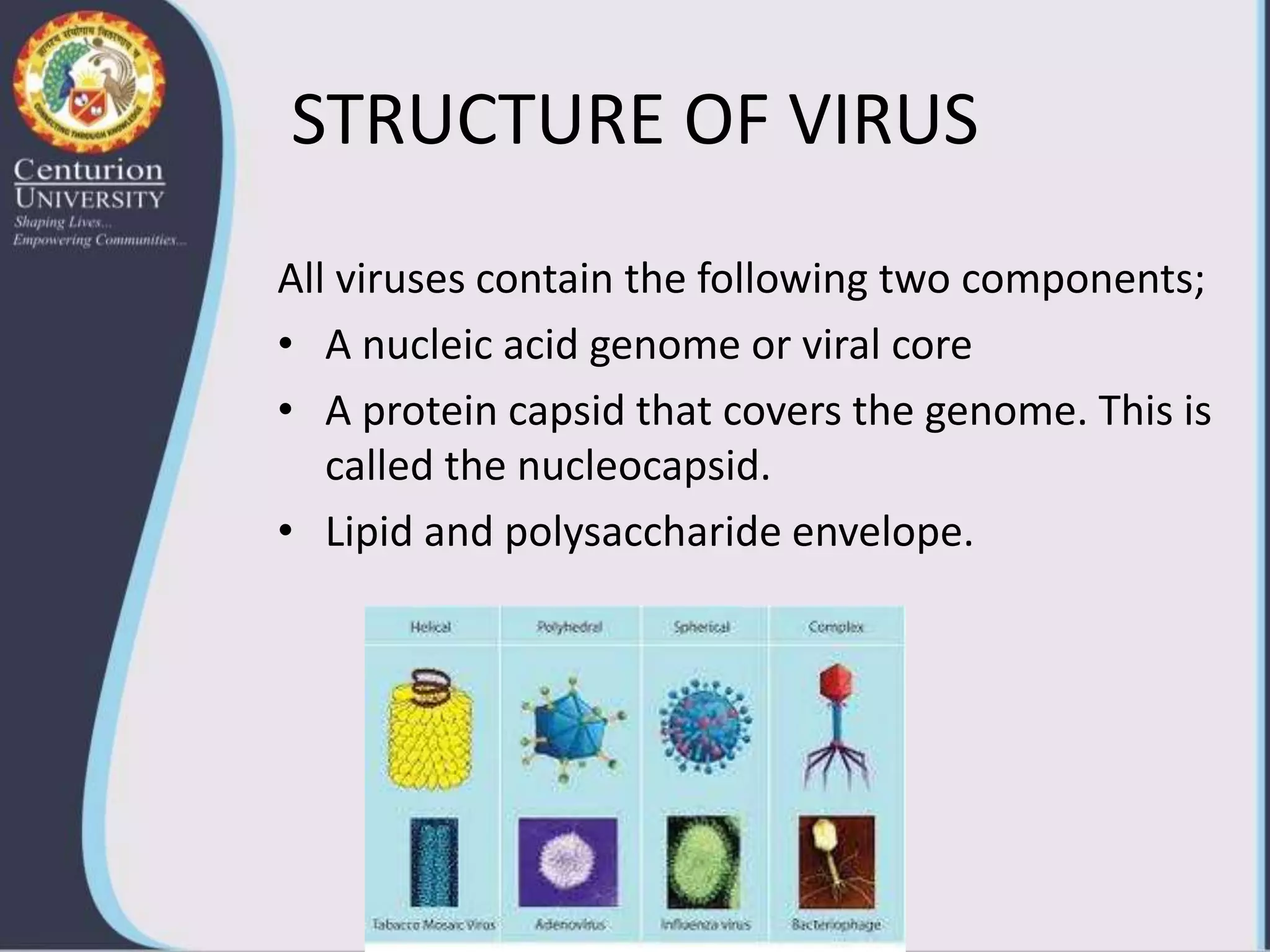 220705180049 Genetic diversity of viruses.pptx