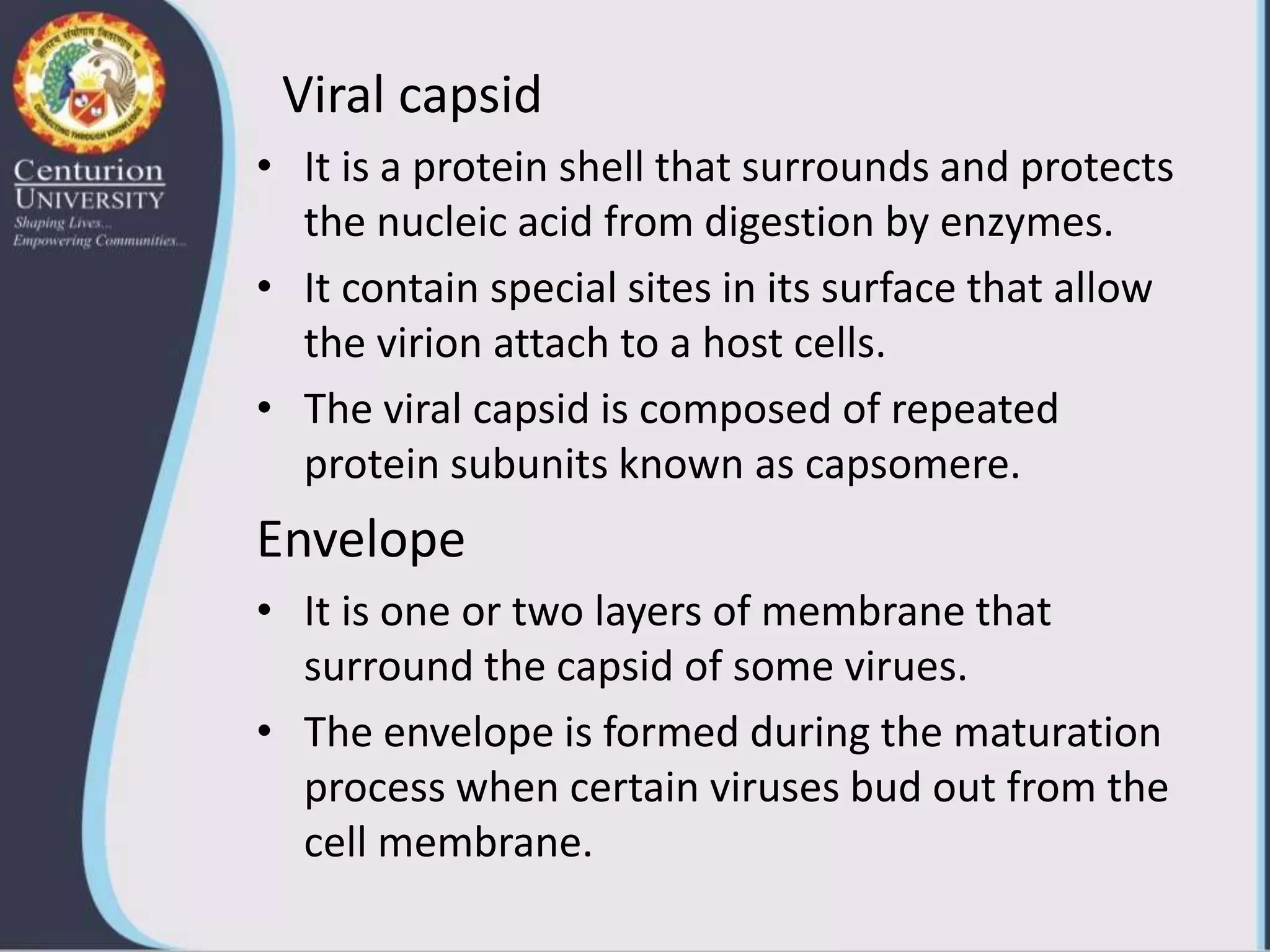 220705180049 Genetic diversity of viruses.pptx