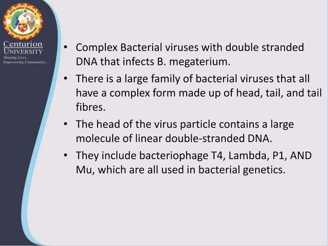 220705180049 Genetic diversity of viruses.pptx | Free Download