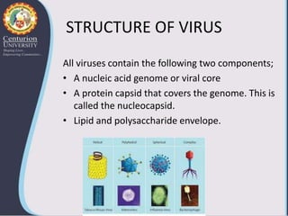 220705180049 Genetic diversity of viruses.pptx