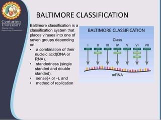 220705180049 Genetic diversity of viruses.pptx