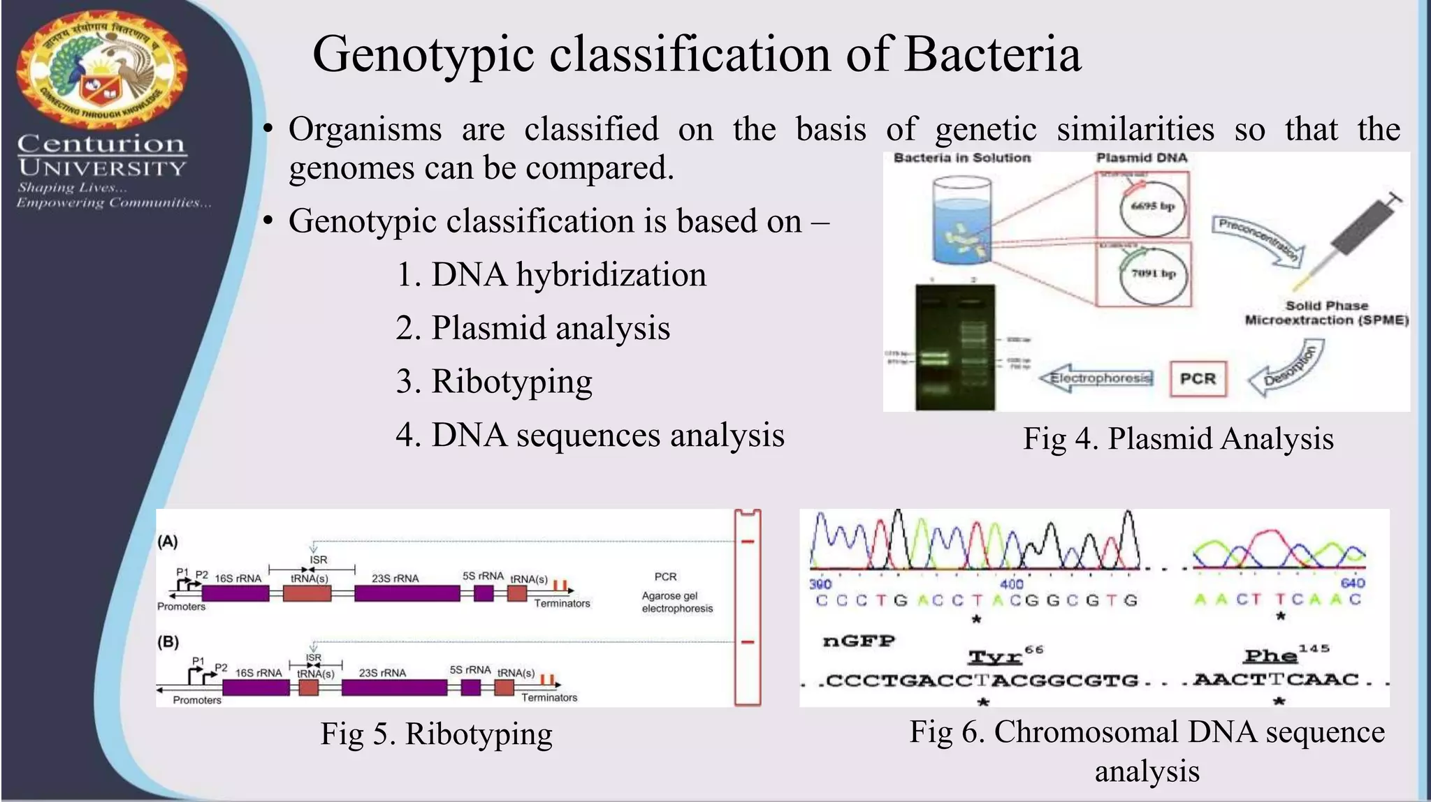 220705180056 bacterial classification.pptx | Biological Sciences | Science