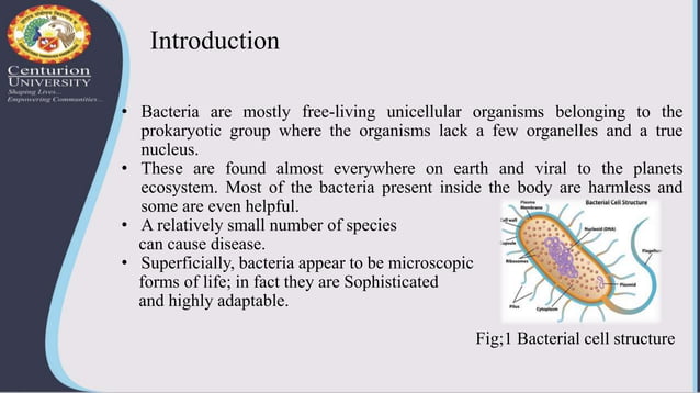220705180056 bacterial classification.pptx | Biological Sciences | Science