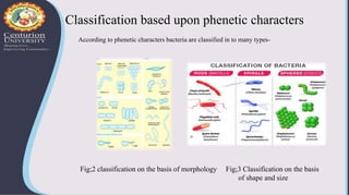 220705180056 bacterial classification.pptx | Biological Sciences | Science