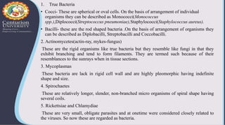 220705180056 bacterial classification.pptx | Biological Sciences | Science